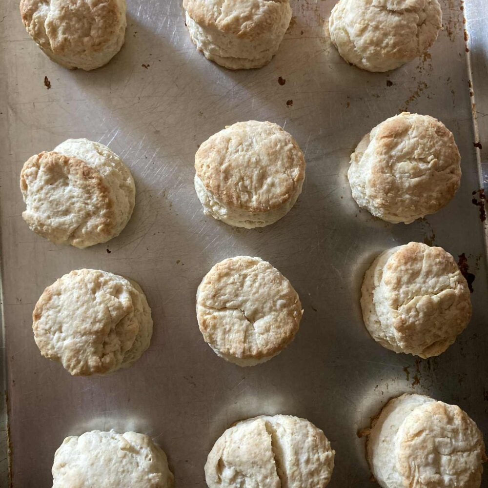 Baking Powder Biscuits - The Hargrave Homestead